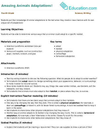 Amazing Animals Adaptations! Lesson Plan | Lesson Plan | Education.com