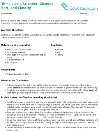 Think Like a Scientist: Observe, Sort, and Classify Lesson Plan ...