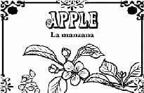 Fruits and Vegetables in Spanish Coloring Pages | Education.com