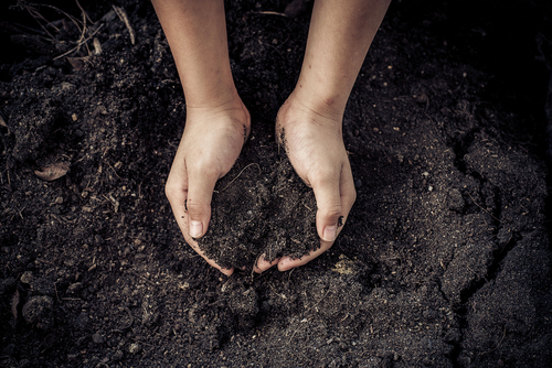 3rd Grade Environmental Science Hands-on Activities | Education.com