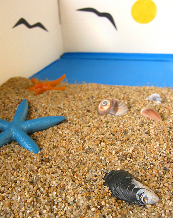 Make a Mini Beach-in-a-Box | Activity | Education.com