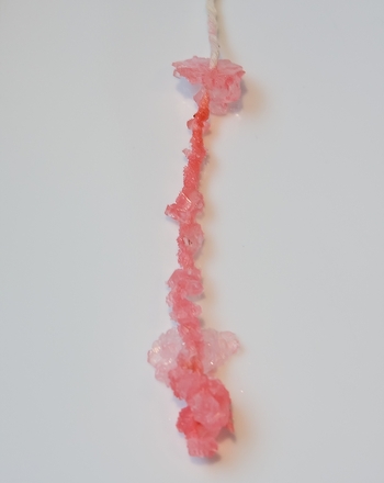 Rock Candy Science | Activity | Education.com