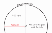 Full Circle | Education.com