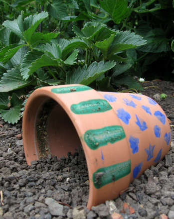 Build a Toad Abode | Activity | Education.com