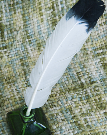 How to Make a Quill Pen | Activity | Education.com