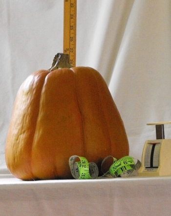 2nd - 4th Grade Measuring Volume Activities | Education.com