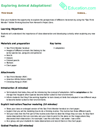 3rd - 4th Grade Animal Educational Resources | Education.com