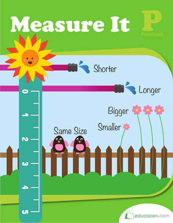 Preschool Comparing Length Educational Resources | Education.com